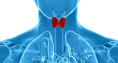TİROİD SİNTİGRAFİSİ NEDİR? NASIL ÇEKİLİR? – DOKTORUMNEDİO?